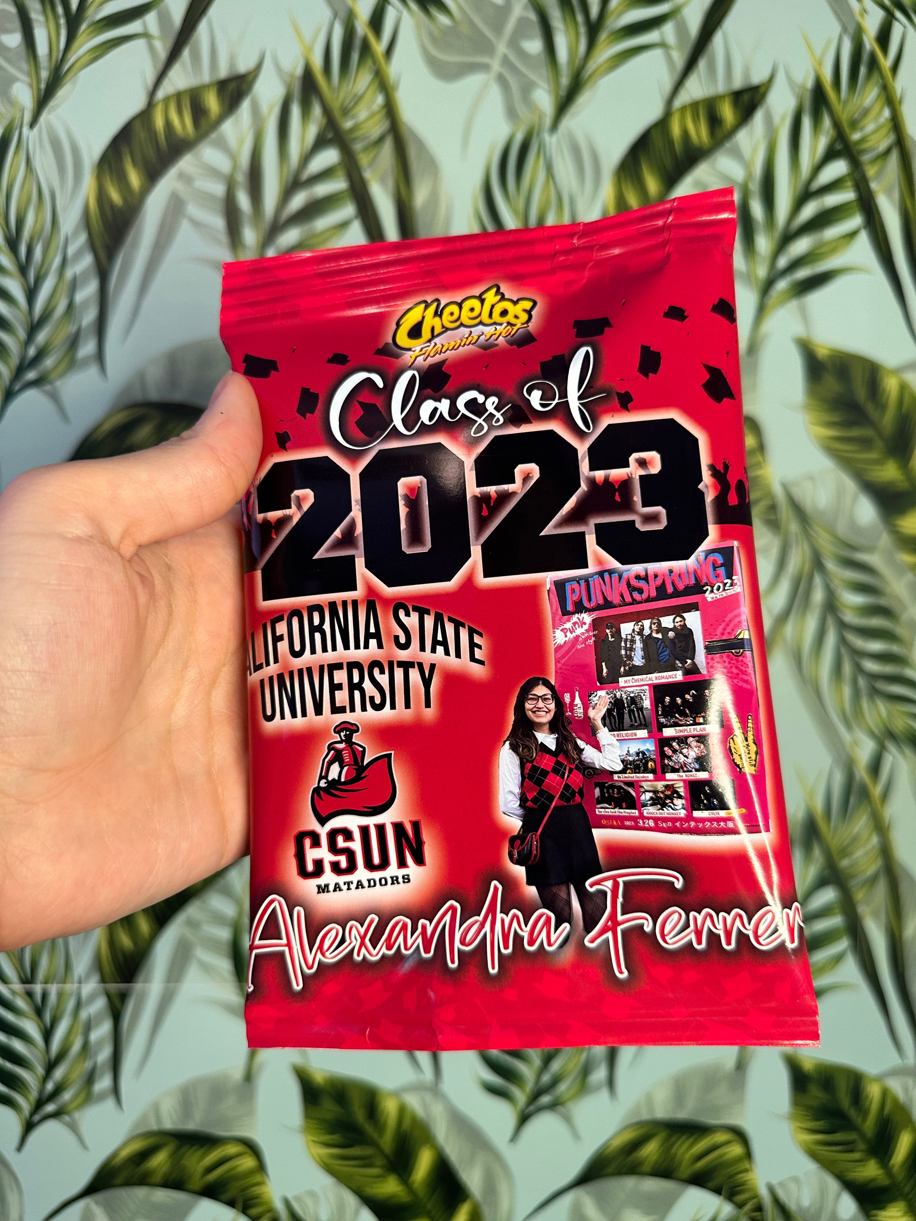 Graduation Chip Bags (10 Pack) – SpoilThemCreatively